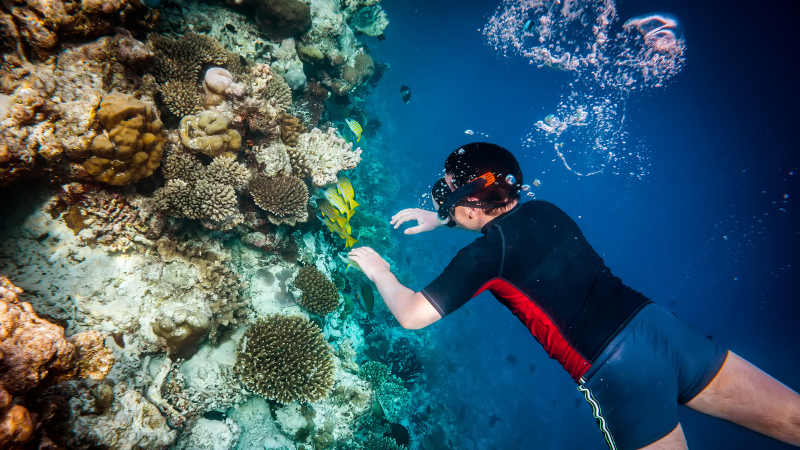 Maldivi – Potovanje iz Ljubljane Odhodi 2025. | Jungle Tribe